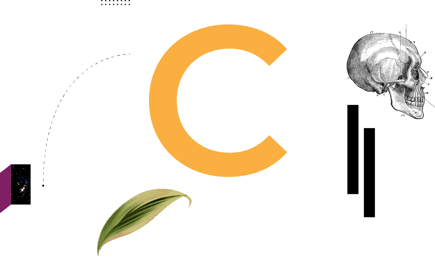 Curious Kind – Just another WordPress site
