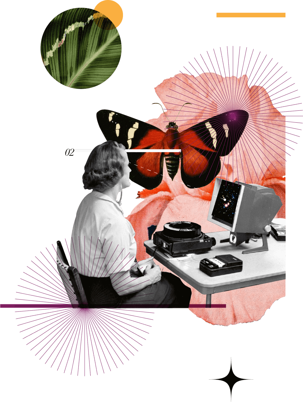 Curious Kind – Just another WordPress site