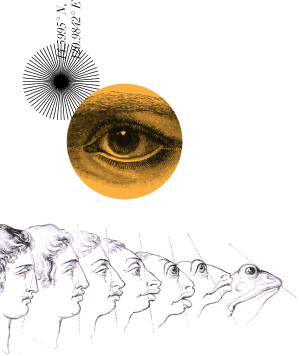 Home - Curious Kind