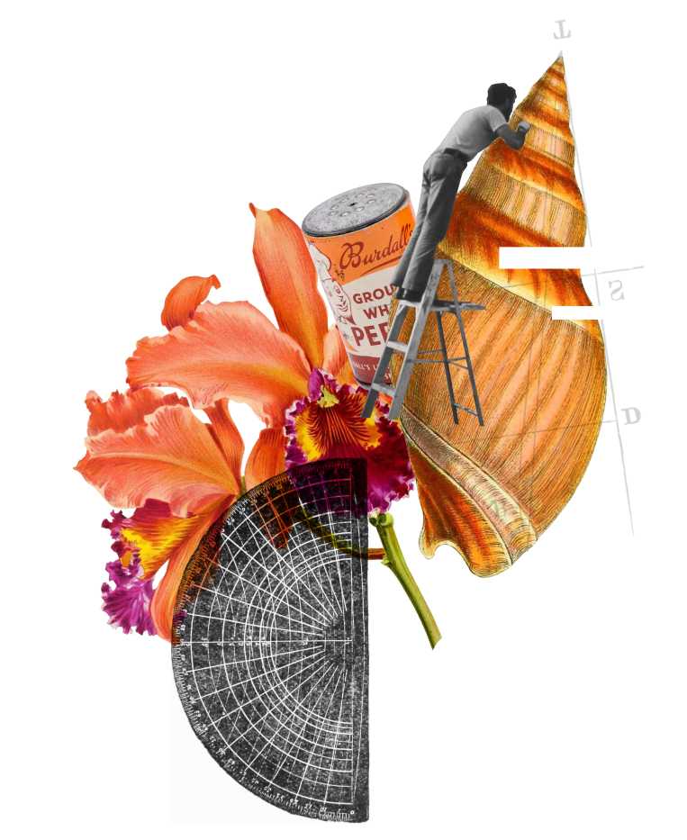 Packaging Design - Curious Kind