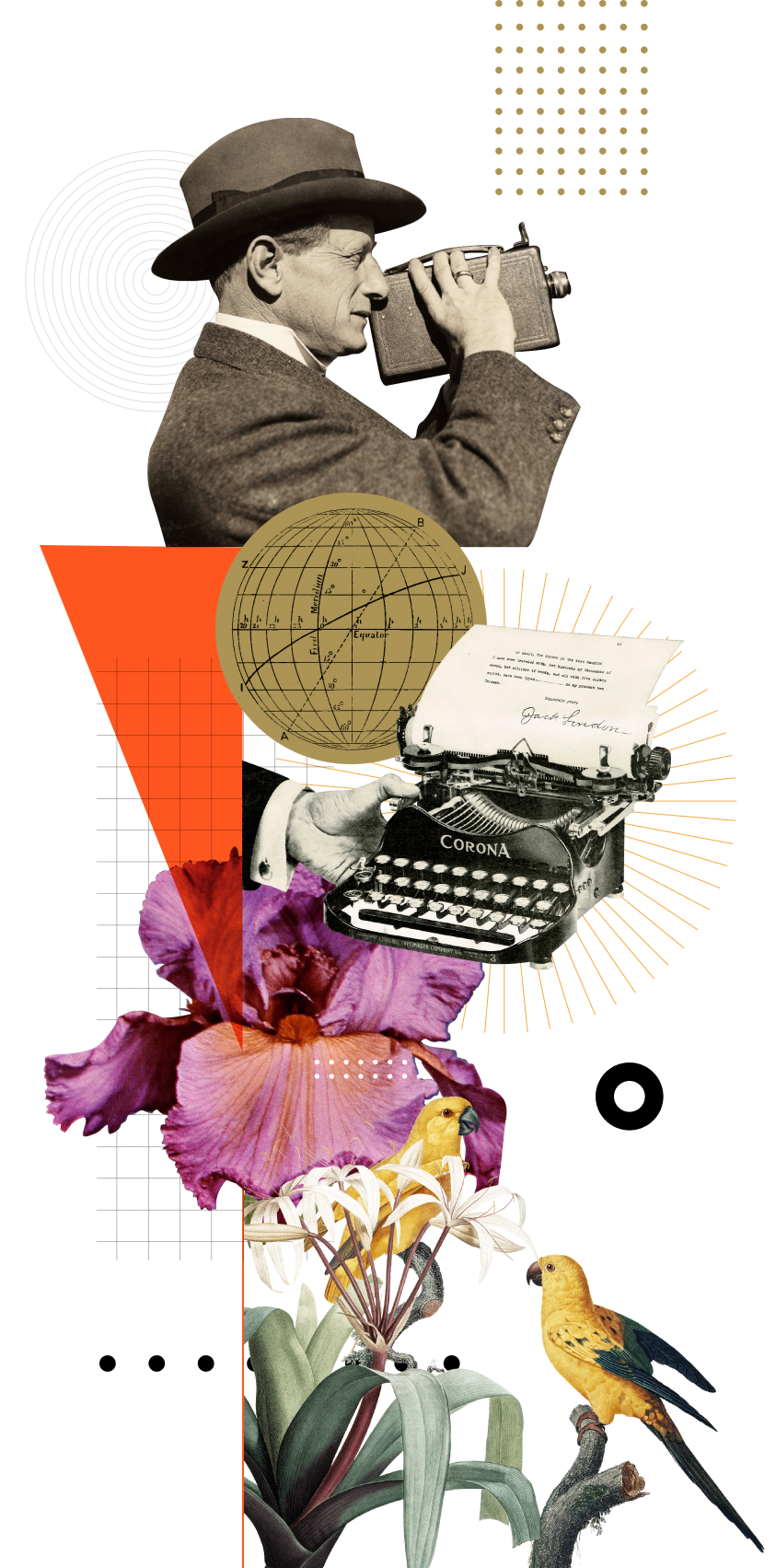 Contact Us - Curious Kind