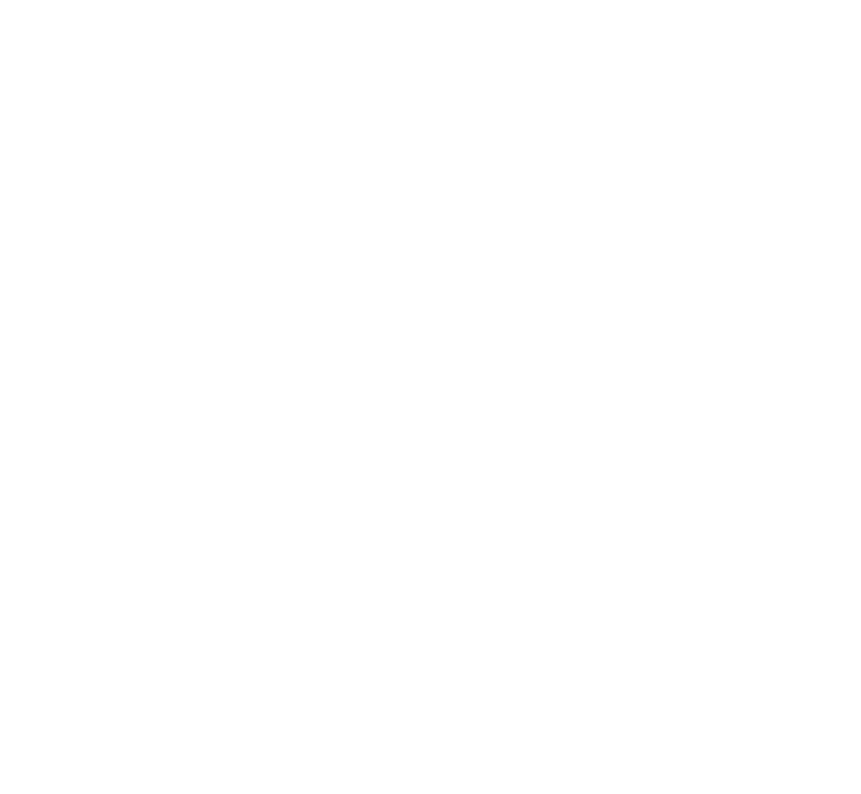 Brand Design - Expert Branding Services Curious Kind Studio